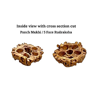 Himalayan organic five face Rudraksha necklace mala. Standard size 108 beads grown up in Himalaya of Nepal without chemical, wax and color treatment