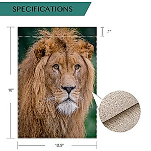 Uanvaha Lion Garden Flag Double Sided Brown Lion Head King African Grass Wild Animal Nature Welcome Small Yard Flag Seasonal Outside Decor Yard Farmhouse 12.5X18 Inch