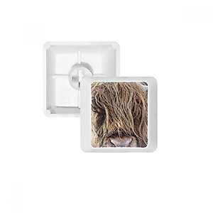 DIYthinker Terrestrial Organism Wild Animal Buffalo Keycap Mechanical Keyboard PBT Gaming Upgrade Kit