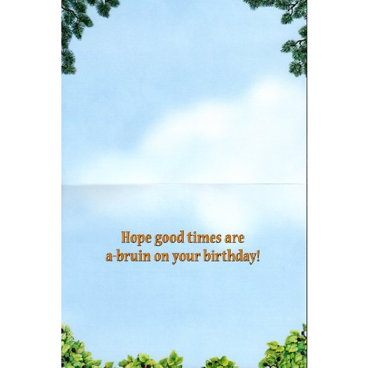 Leanin' Tree Funny Greeting Cards - Laughing Bear Art [AST90760] - 20 Greeting Cards with Full-color Interiors