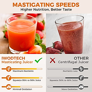 IWODTECH Juicer Machine, Cold Press Juicer with 2 Speed Modes, Slow Masticating Juicer Vegetable and Fruit, Celery Juicer, BPA-Free, Easy to Clean, Black