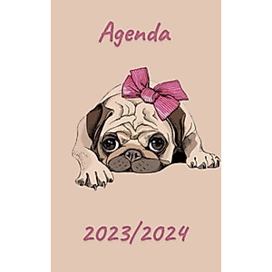 AGENDA 2023/2024: Planificateur scolaire journalier | Emploi du temps | Calendrier | Une page par jour (French Edition)