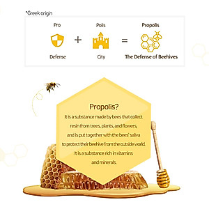 Kerasys Propolis Extract Minerals Vitamin Propolis Energy Plus Shampoo 33.8 fl oz / 1 L