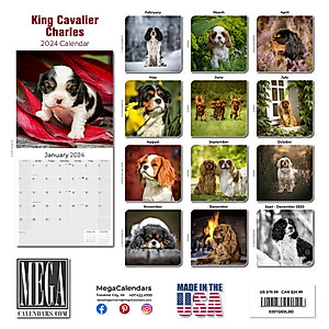 2023 2024 Cavalier King Charles Calendar - Dog Breed Monthly Wall Calendar - 12 x 24 Open - Thick No-Bleed Paper - Giftable - Academic Teacher's Planner Calendar Organizing & Planning - Made in USA
