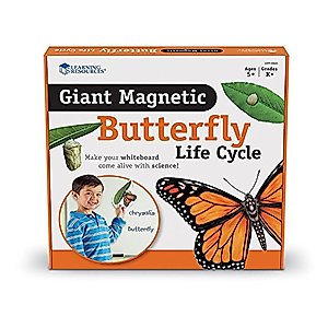 Learning Resources Butterfly Life Cycle, 9 Write and Wipe Pieces, Classroom Accessories, Teaching Aids, Ages 5+