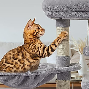 FISH&NAP US09H Cute Cat Tree Kitten Cat Tower for Indoor Cat Condo Sisal Scratching Posts with Jump Platform Cat Furniture Activity Center Play House Grey