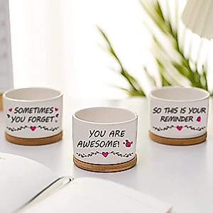 Inspirational Gifts for Women, You are Awesome, Birthday Gift for Grandma Mom Sister Friend, Garden Decor Planter Succulent Pots