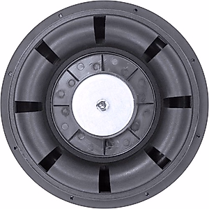 Earthquake Sound SLAPS-M10 10-inch Passive Radiator for Home and Mobile Audio Subwoofer Enclosures