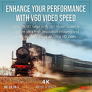 PNY 256GB EliteX-PRO60 UHS-II SDXC Memory Card - R280MB/s W180MB/s, U3, V60, 4K UHD, Full HD, UHS-II for Professional Photographers & Content Creators, DSLR Mirrorless Cameras, Advanced Video Cameras