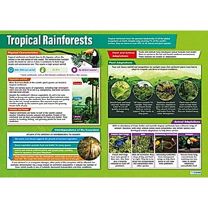 Daydream Education Tropical Rainforests | Geography Posters | Laminated Gloss Paper measuring 33” x 23.5” | Geography Classroom Posters | Education Charts