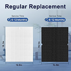 116130 Replacement Filter H for Winix 5500-2 and AM80 Air Purifier, 2 Set HEPA Filter and Activated Carbon Filter Combo Pack