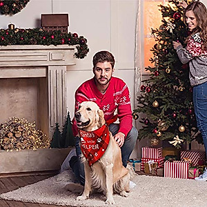 9 Pieces Holidays Dog Bandanas Patriotic Dog Bandanas 4th of July Dog Bandanas Adjustable Dog Scarf Washable Dog Scarves for Thanksgiving Halloween Christmas PET Costume Supply (Fresh Pattern)