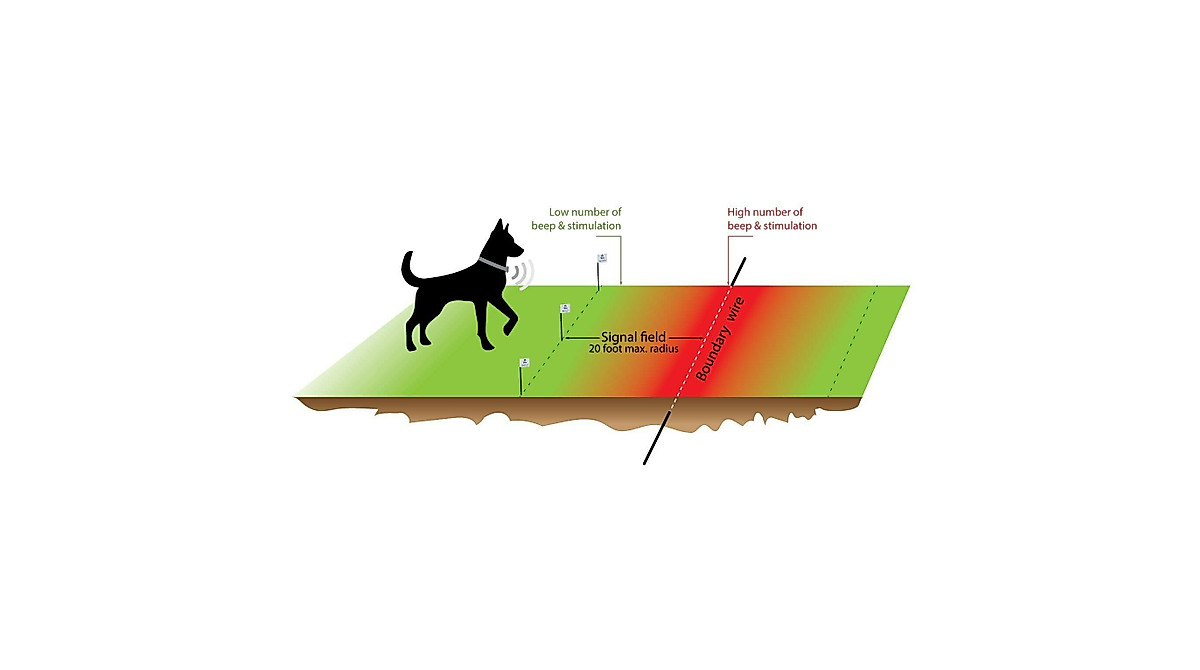 50 Extreme Dog Fence Training Flags for Boundary Setup