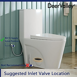 DeerValley Elongated One Piece Toilet with Comfortable Chair Seat Height 17", Dual Power Flush Toilet 1.1/1.6 GPF and 12'' Rough-In Toilet Bowl DV-1F52102