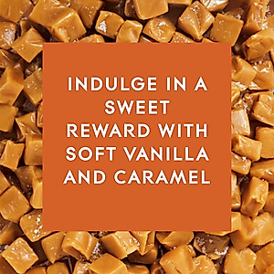 Glade PlugIns Refills Air Freshener, Scented and Essential Oils for Home and Bathroom, Vanilla Caramel Twist, 3.35 Fl Oz, 5 Count