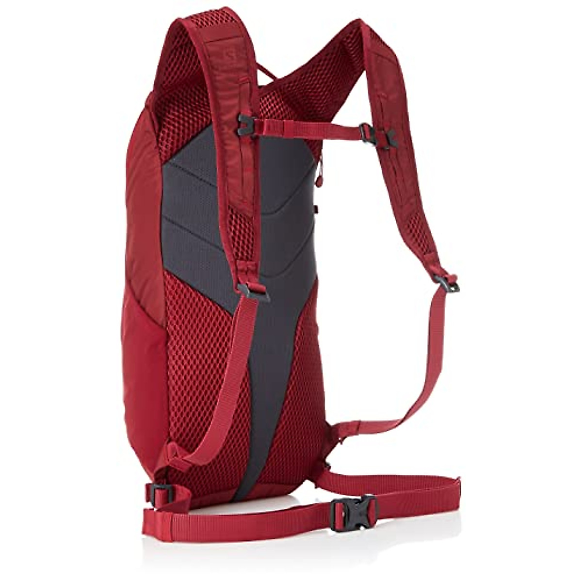 Salomon Trailblazer 10 Backpack, Chili Pepper/Red Dahlia/Ebony