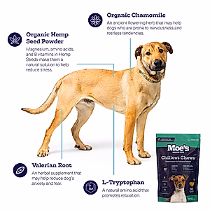 Moe’s Hemp Calming Chews for Dogs - Helps Aid with Storms, Fireworks, Chewing, Barking, Travel, Stress, Anxiety & Separation Anxiety - Tryptophan + Chamomile - Made in The USA - (Peanut Butter)