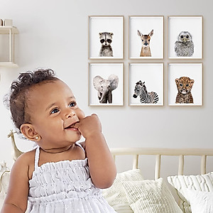 Designs by Maria Inc. Set of 6 UNFRAMED Woodland Nursery Decor Animal Posters | Zoo Theme Baby Room Decorations | Safari Jungle Nursery Wall Art Prints | Baby Animals Prints Nursery Decor Set (8"x10")