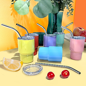 REFARICO 6 Pack 3oz Mini Tumbler Shot Glasses with Straw and Lid Stainless Steel Colored Sublimation Tumblers Double Wall Vacuum Insulated Cups for Party, Birthday's Day-Multicolor