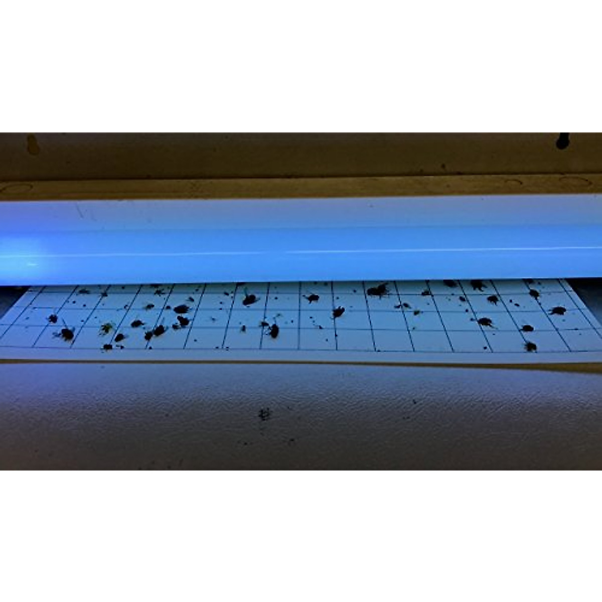 5"x17" 24 Pack, Fly Light, Insect Light Trap Replacement Glue Boards with 1" Grid