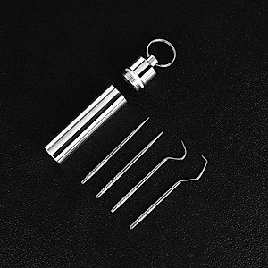 4 Pcs/set Portable Stainless Steel Pocket Set Reusable Metal Toothpicks, Holder for Outdoor Picnic Camping Traveling Supplies(1)