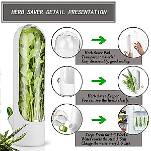 Herb Saver, Herb Keeper for Refrigerator, Cilantro Containers for Refrigerator, Herb Saver Pod, Fresh Herb Keeper for Cilantro, Parsley, Asparagus, Keeps Vegetables for 2-3 Weeks (3PCS Herb Saver)