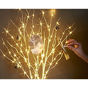 LITBLOOM Lighted White Birch Willow Branches with Timer Battery Operated Set of 2, Tree Branch with Warm White Lights for Holiday and Party Decoration 30IN 100 LED Waterproof
