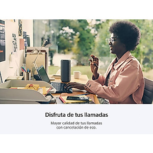 Sony XE300 Portable Waterproof and Dustproof Bluetooth Speaker - Black (Renewed)