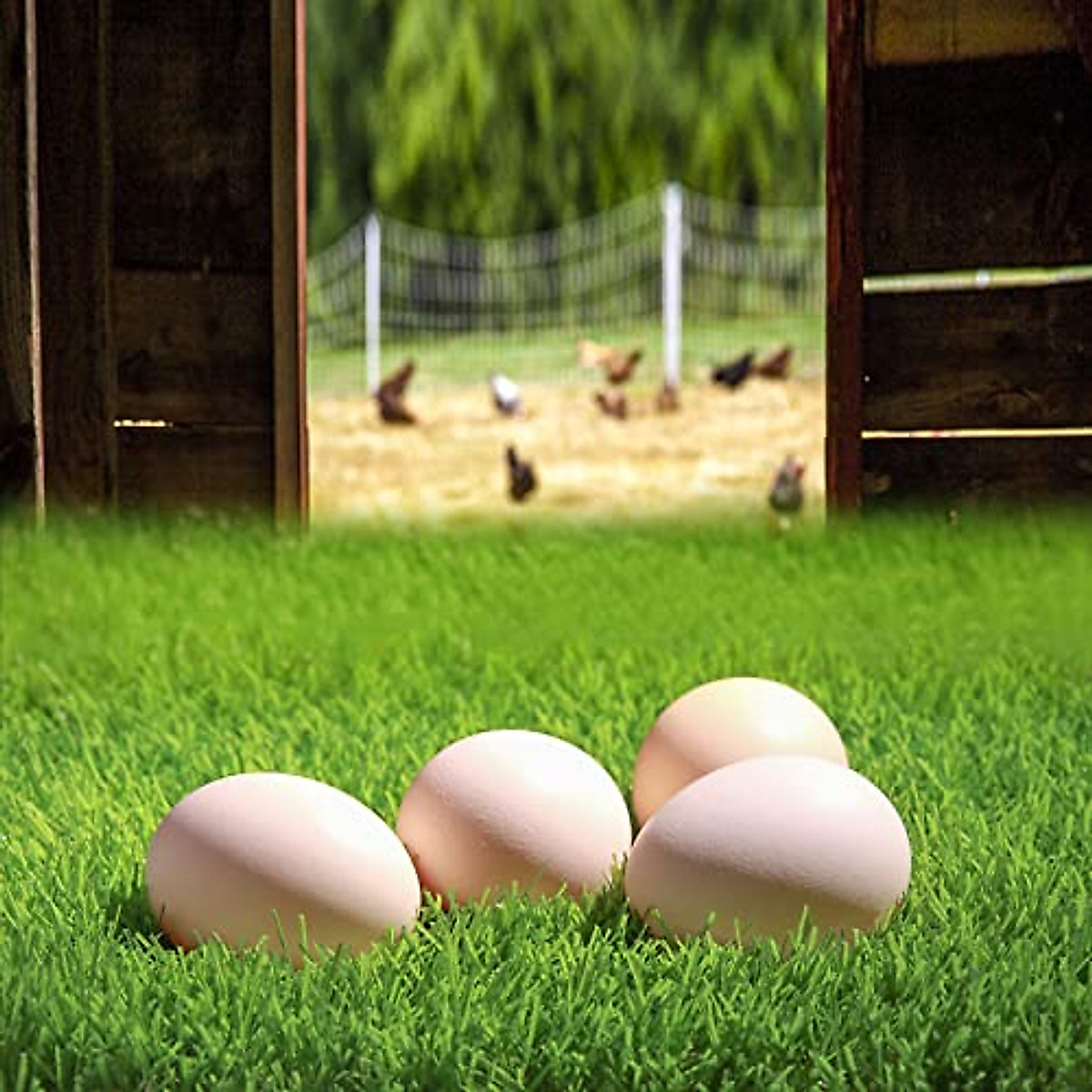Oziyrnka Chicken Nesting Pads, 6Pcs 12"x12"x1.22" Washable Plastic Nesting Pads for Chicken Coop+ Chicken Veggies Holder for Hens 1pcs, Nesting Box Pads for Chicken Coop, Reusable Chicken Box Nesting