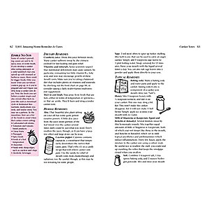 Consumer Guide's 1,001 Amazing Home Remedies & Cures