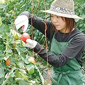 RANSHOU Garden Shears 7.2” Sharp Japanese Stainless Steel Blade, Precision Pointed Hand Garden Scissors for Trimming, Harvesting, Spring Loaded Lightweight Gardening Snips, Made in JAPAN