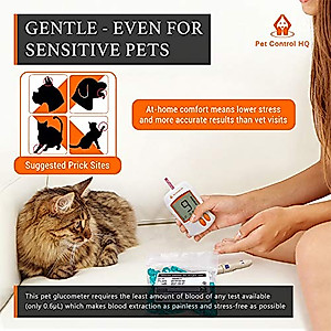 Pet Control HQ Blood Sugar Glucose Monitor System - Cat and Dog Glucose Monitoring Kit - Accurate Diabetes Testing 2 Calibrated Code-Chips, Lancets, Logbook - Monitor + 50 Test Strips