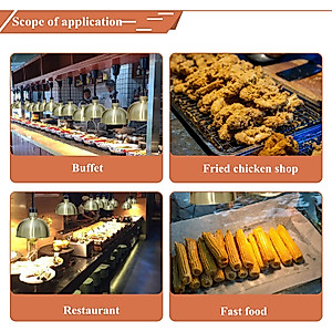 JIAWANSHUN Food Warmer Lamp Food Heat Lamp Warmer with Bulb 250W Commercial Food Warmer Restaurant or Home Food Service 110V