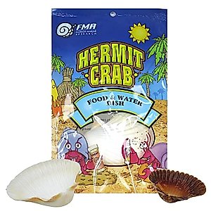 Hermit Crab Habitat Supplies Pack of Two Seashell Food and Water Bowls, Reptile DIY Terrarium Kit Necessities, 3.75 and 2.25 Inches