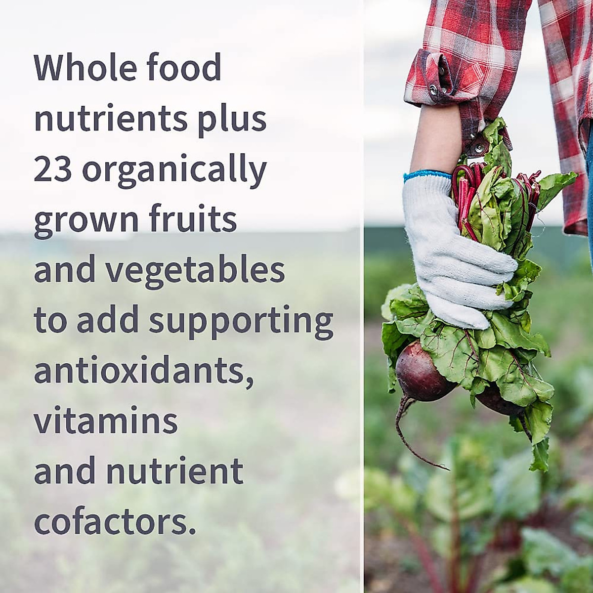 Garden of Life Raw B Complex - Vitamin Code - 60 Vegan Capsules, High Potency Vitamins for Energy & Metabolism with B2 Riboflavin, B1, B3, B6, Folate, B12 as Methylcobalamin & Biotin Plus Probiotics