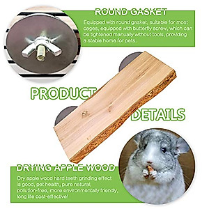 Chinchilla Wood Ledge 2Pcs Natural Wooden Shelf Standing Platform Chew Toys for Hamster Rat Guinea Pig Mouse Bird 2.6" x 5.9"