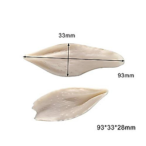 AK ART KITCHENWARE Fondant Flower Tools Leaf and Petal Veining Molds Flower Veiner Gumpaste Tools Cake Decorating Tools for Bakery (VM188)