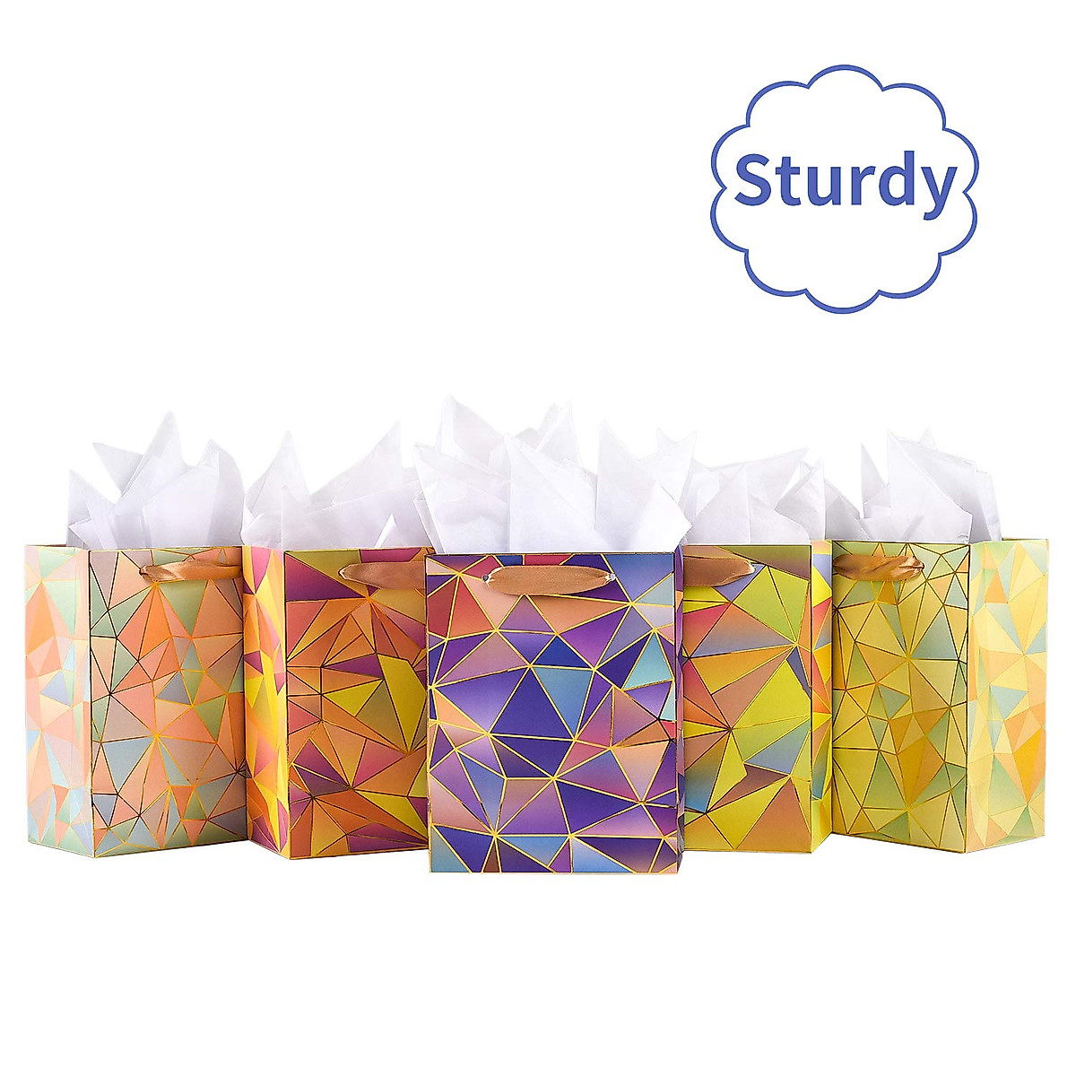 Gift Bags Medium Size Set, 5 Pack Assorted Small Bulk Birthday Gift Wrapping Bag with Tissue Paper for Men Women Girls Baby Bridal Shower Present Bag for Anniversary Party,10 Piece Set