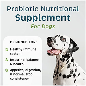 VetOne Advita Probiotic Nutritional Supplement for Dogs - 30 Packets