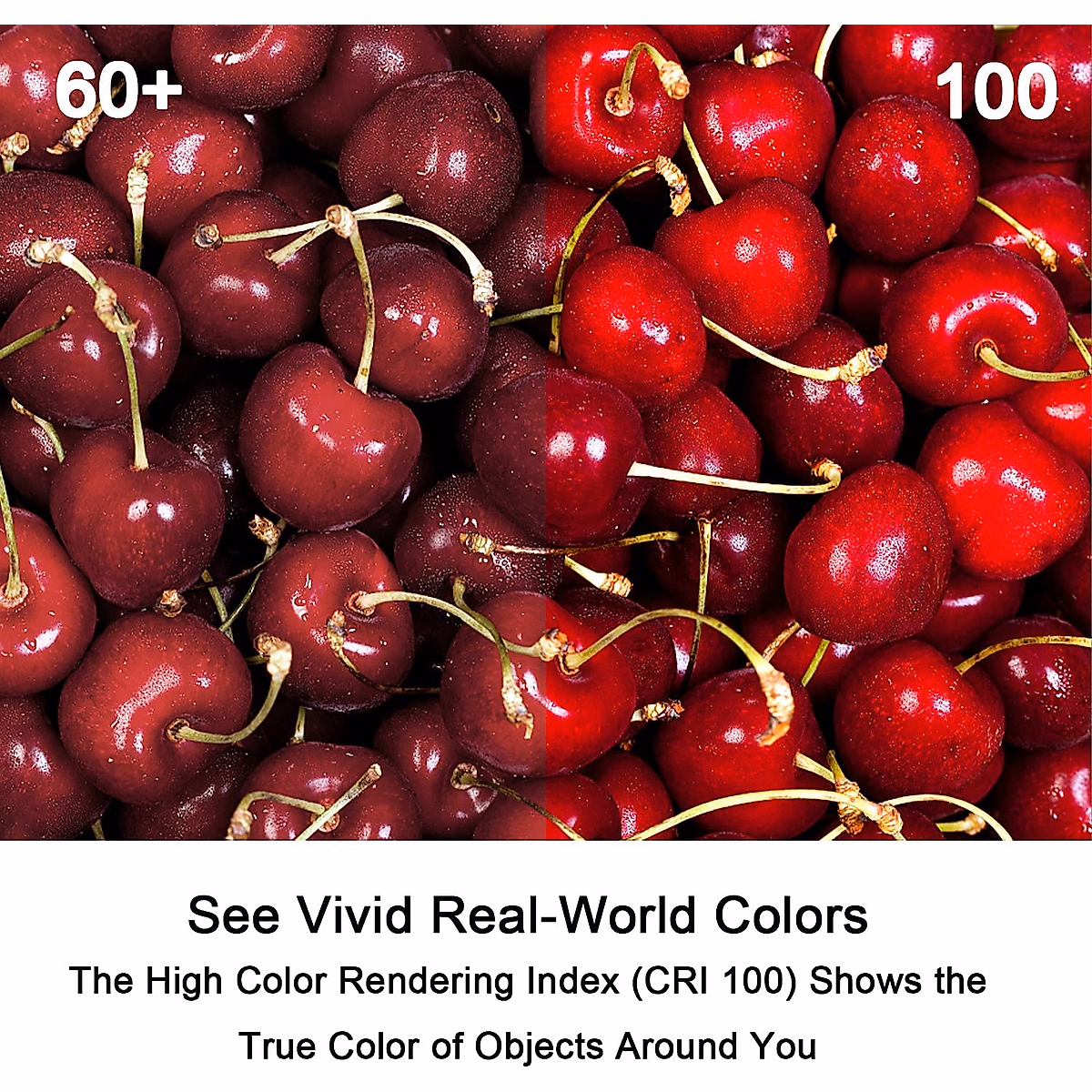 G9 Bulb 60W, 12 Pack G9 Halogen Light Bulbs 2 Pin Base T4 JCD Type 120V Xenon Small Light Bulb for Chandeliers, Range Hood Light, Bathroom Light Bulbs, Cabinet Lights, Dimmable, 2700K Warm White