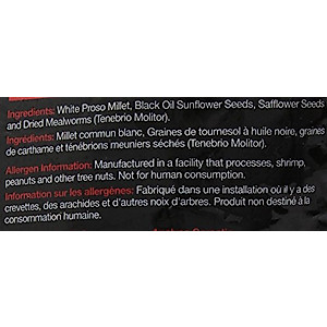 F.M.Brown'S 40843 Bird Lover'S Blend Hi-Energy Plus With Mealworms, 5-Pound