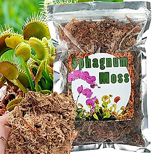Sphagnum Moss Potting Mix Soil for Carnivorous Plants, Potting Orchid, Sarracenia, Pitcher Plants, and More, All Natural (1 Qt)