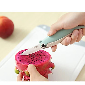 Folding knife, portable pocket ceramic knife for fruit, suitable for carrying super sharp mini fish shaped Ceramic Paring Knife when traveling (Blue)
