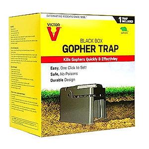 Victor 0626 Black Box Gopher Trap - Gopher Traps - Gopher Trap