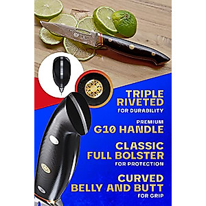 Dalstrong Paring Knife - 3.5 inch - Centurion Series - Swedish 14C28N High - Carbon Stainless Steel Kitchen Knife - G10 Handle - Fruit, Vegetable, Meat - Cooking Chef's Knife - w/Sheath