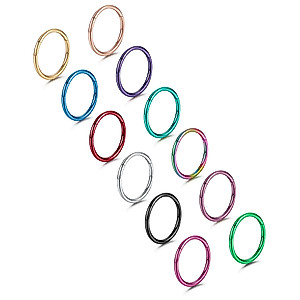 Drperfect 12 Pcs Septum Rings 316L Stainless Steel Cartilage Hoop Earrings Hinged Segment Clicker Septum Nose Rings Hoop Helix Daith Tragus Earrings Body Piercing for Women Men 16G 18G