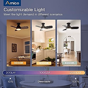 Amico Ceiling Fans with Lights, 30 inch Low Profile Ceiling fan with Light and Remote Control, Flush Mount, Reversible, 3CCT, Dimmable, Noiseless, Black Ceiling Fan for Bedroom, Indoor/Outdoor Use