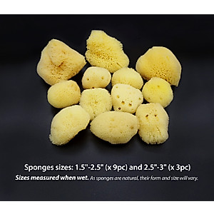 Natural Sea Silk Sponges 12pk: Size 9pc x1.5"-2.5" 3pc x 2.5"-3", like Cotton Balls, for Cosmetic Use, Makeup Application & Removal, Face & Eye Cleaning, with Luxury Gift Bag by Constantia Beauty®