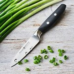 Wüsthof Epicure Slate 3.5" Paring Knife