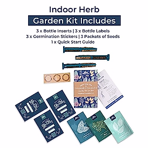 Herb Garden Kit Indoor - Grow Fresh Herbs Plants Hydroponically Indoors with this unique Window Garden Kit - Bottle Stopper Gardening Kit - Kitchen Windowsill Planter Grow Live Herbs At Home from Seed